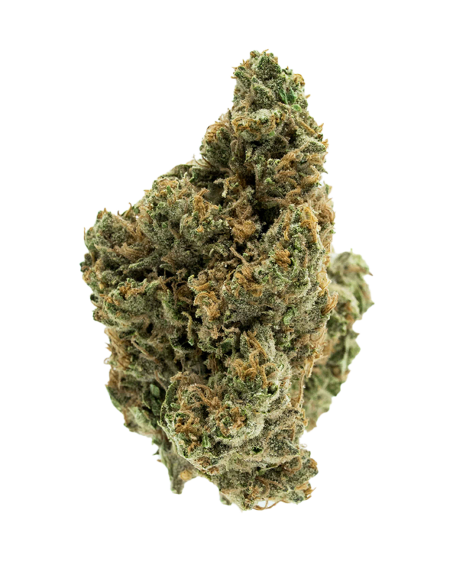 Mandarin Cookies – Mojave Flower