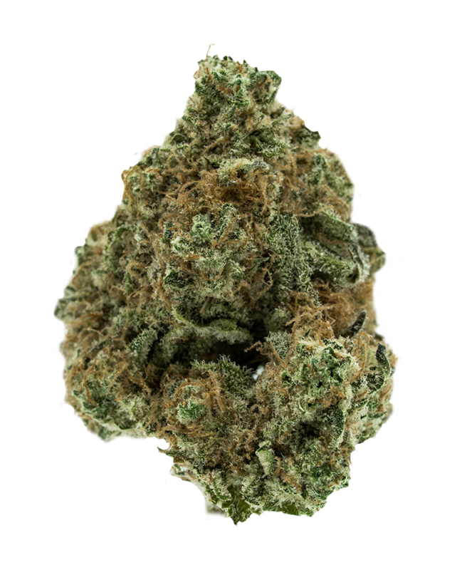 Oregon Raspberry - Mojave Flower